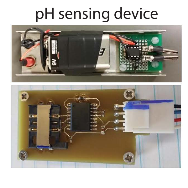 Highly Sensitive Detection of Heavy Metals